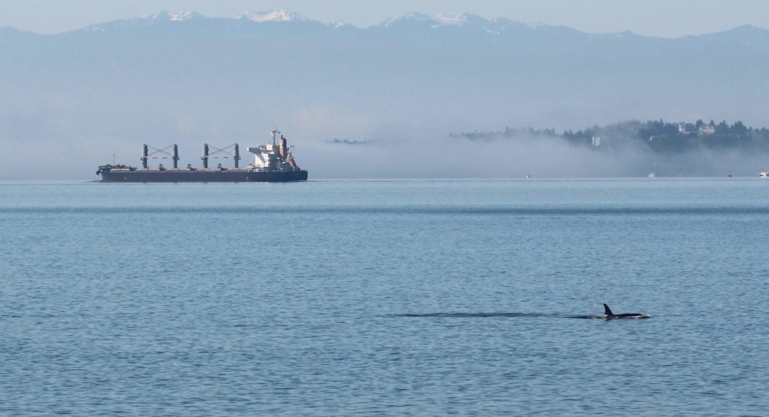 History – Beam Reach